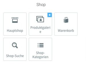 IONOS Webshop Erfahrungen [2024 ]: wie gut ist das Shopsystem?