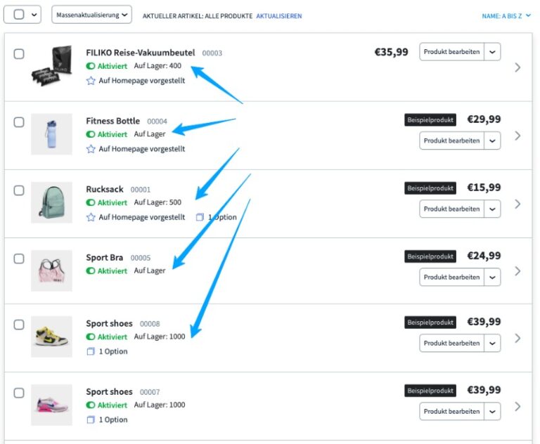 IONOS Webshop Erfahrungen [2024 ]: wie gut ist das Shopsystem?